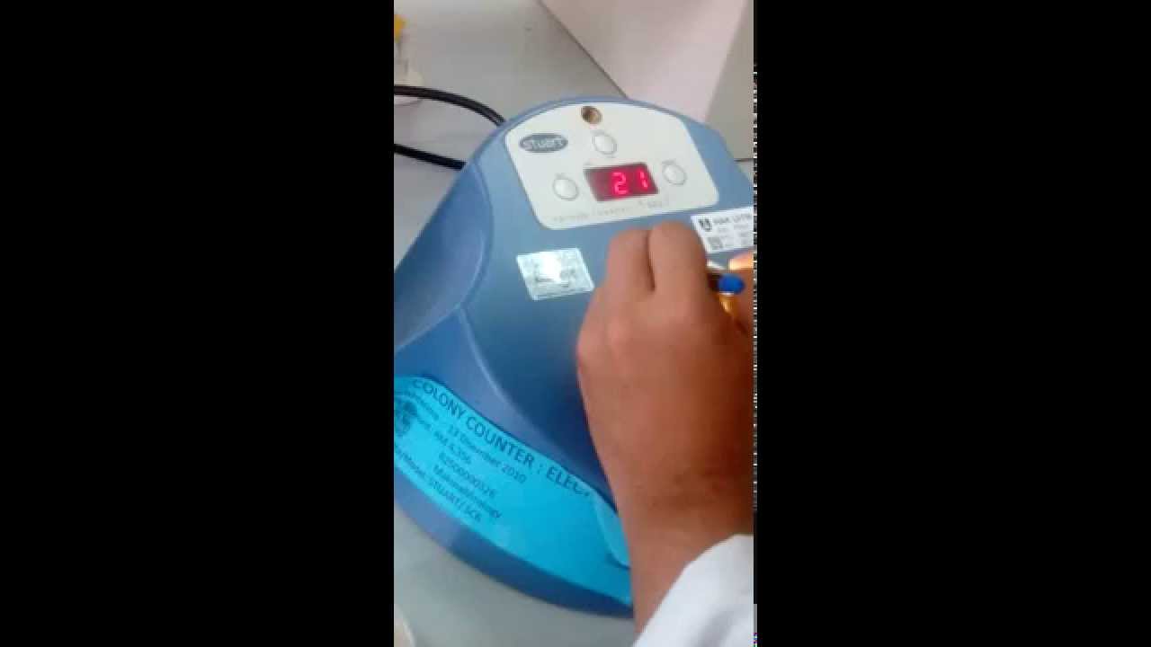 Plaque Assay counting / Plaque forming unit (PFU) - YouTube