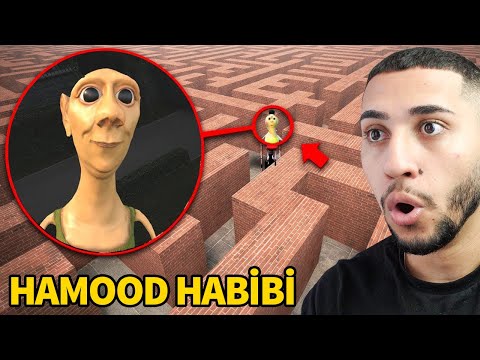 EĞER HAMOOD HABİBİ 'yi LABİRENTTE GÖRÜRSENİZ HEMEN KAÇIN !! (Yardım Edin)