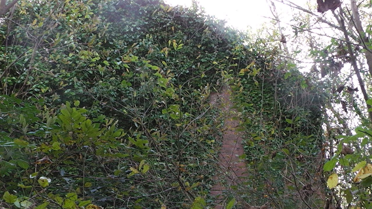 Trimsaran Colliery Ruins - YouTube