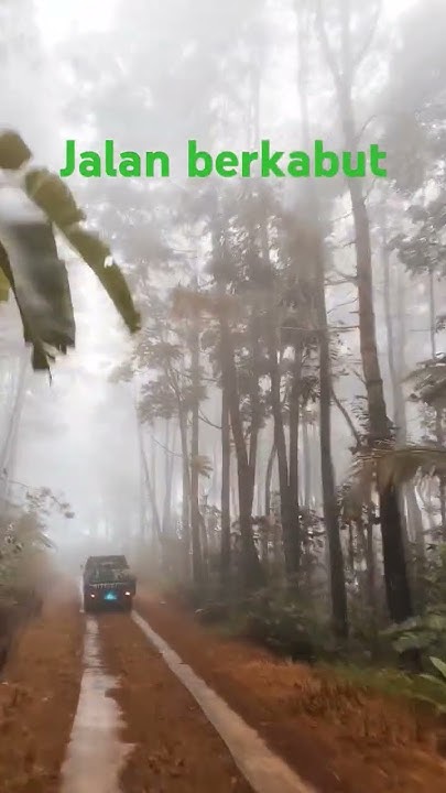 Menerjang jalan berkabut..#kabut#jalanberkabut#mobil - YouTube