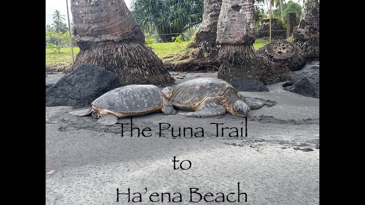 Puna Trail to Ha'ena Beach (Shipman Beach) in Hilo, HI - YouTube