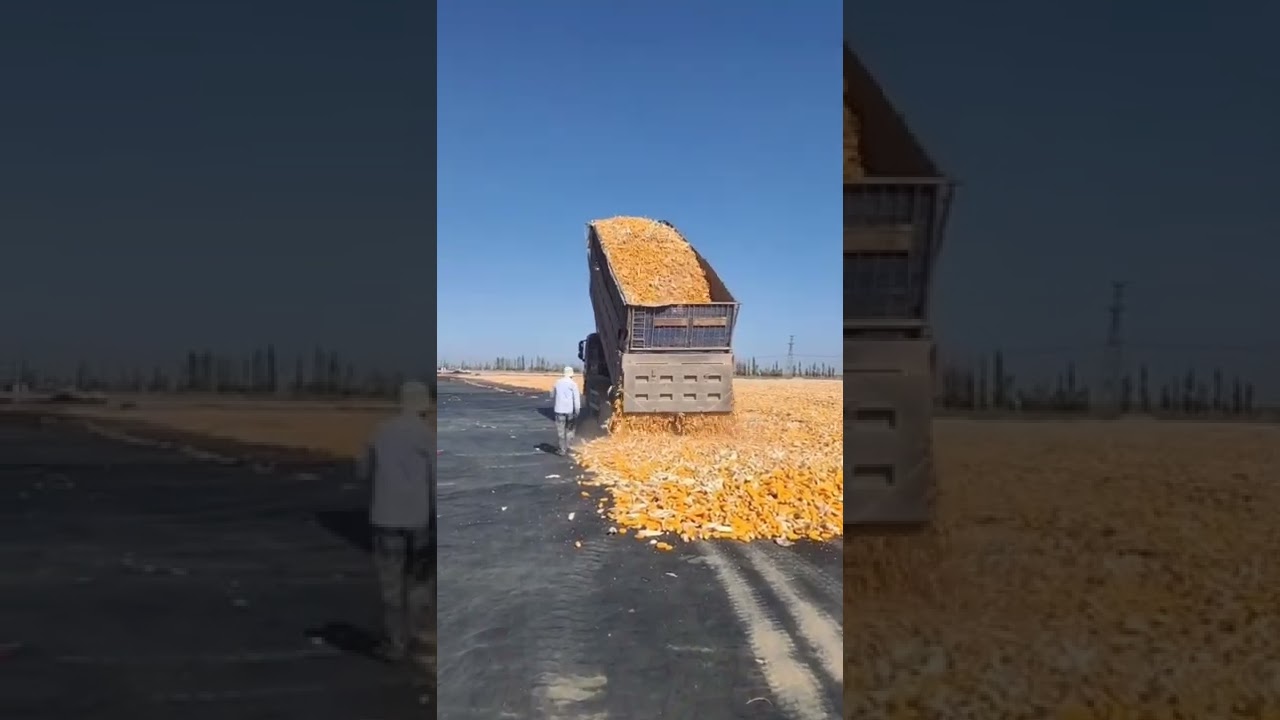 #Shorts #trending video #viralvideo #famous video - YouTube