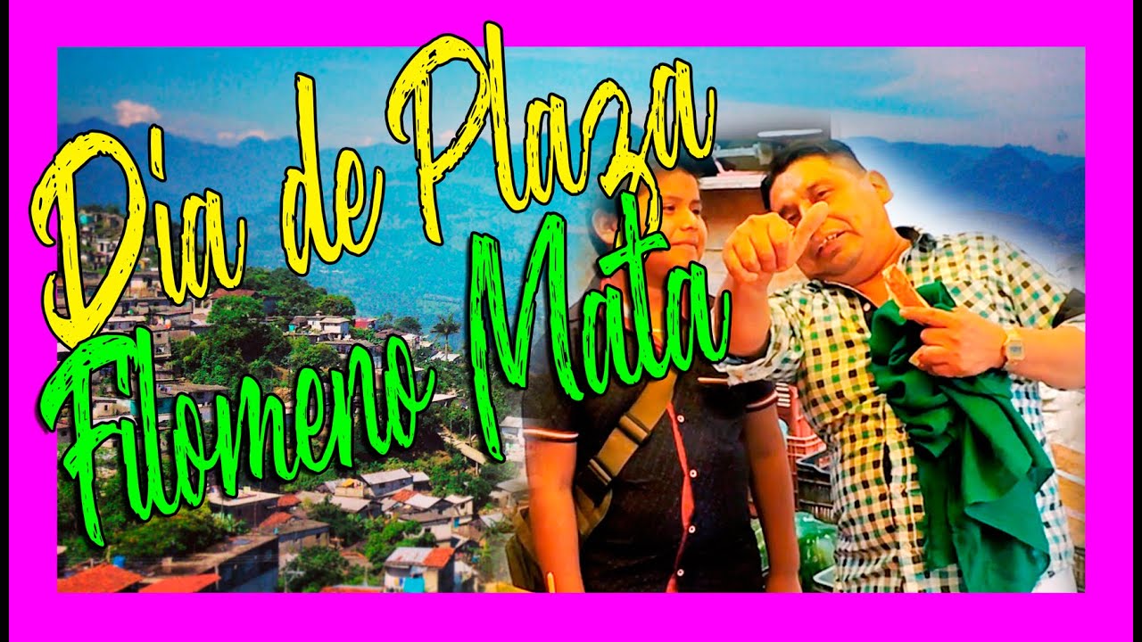 Filomeno Mata un día de 🚨plaza llena de color, 🍄🍀 sabor y tradición ...