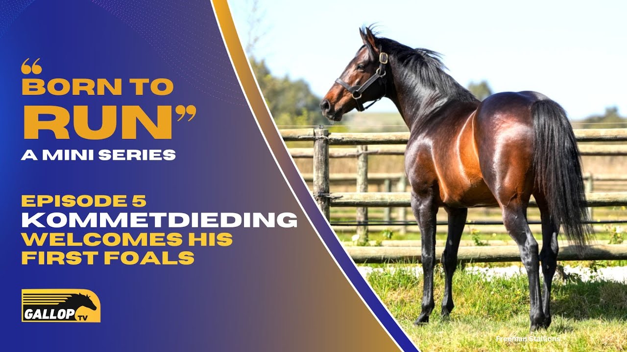 Gallop TV - Watch Live Horse Racing Free