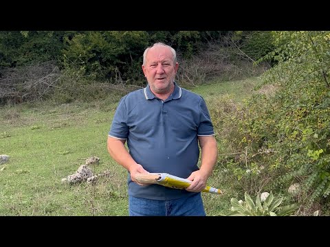 005 Alan Tarama ve Define Arama Çubuğu İncelemesi