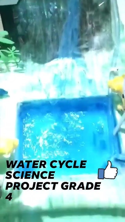 #WATER CYCLE PROJECT GRADE 4 - YouTube