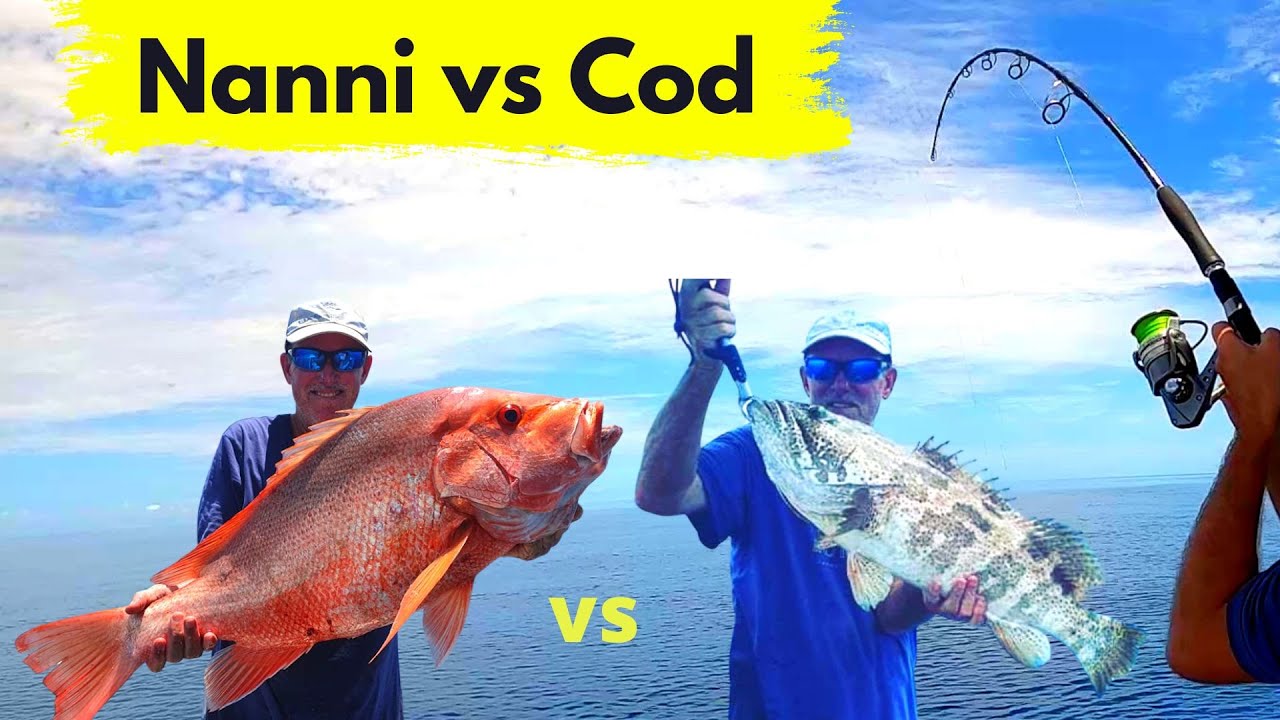 Nanni vs Cod Fishing - YouTube