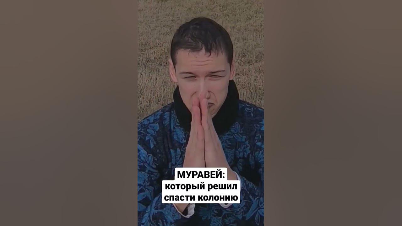 Храбрый муравей - YouTube