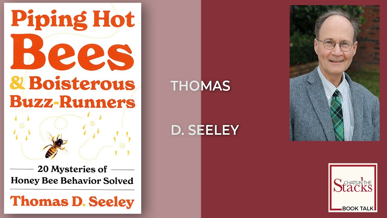 Seeley, Piping Hot Bees - YouTube