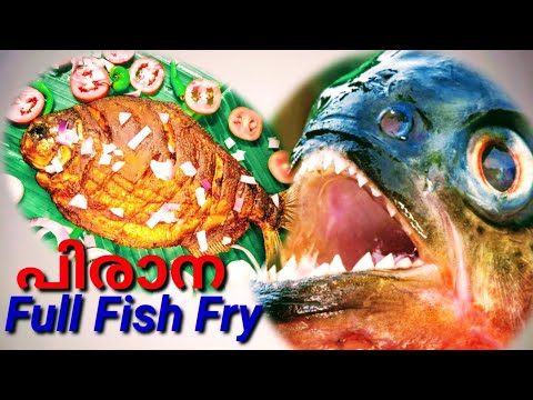 fish fry full piranha fish fry - YouTube