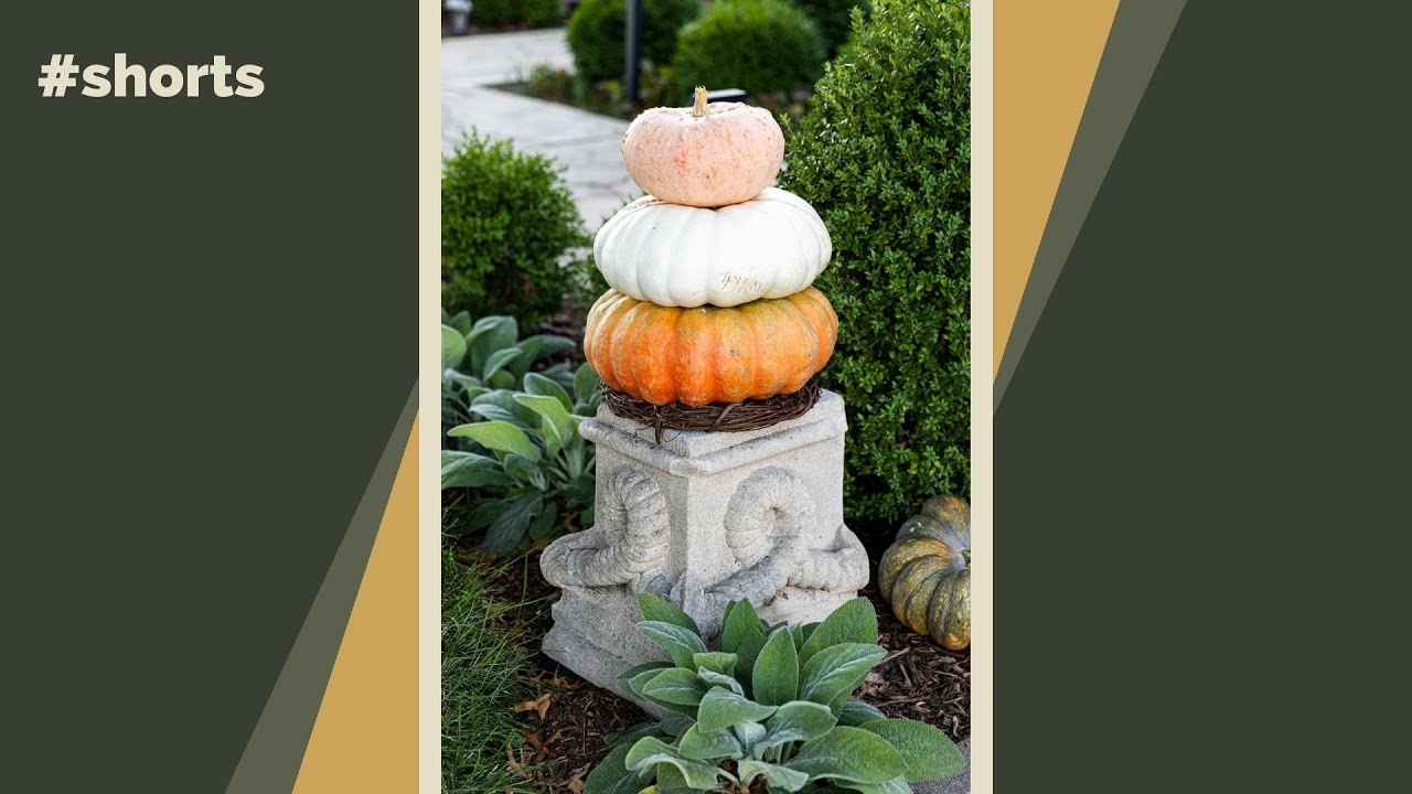 Here’s my tip for making sure you have sturdy stacks of pumpkins in the ...