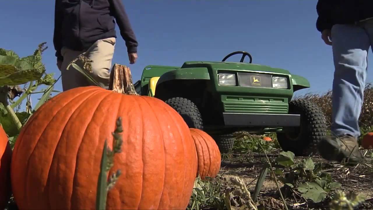 Pumpkin Research at Ohio State University - YouTube