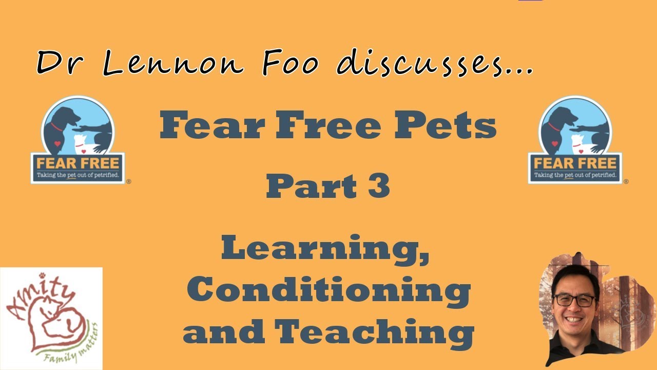 Fear Free Pets - Part 3 - Learning, Conditioning and Teaching - YouTube