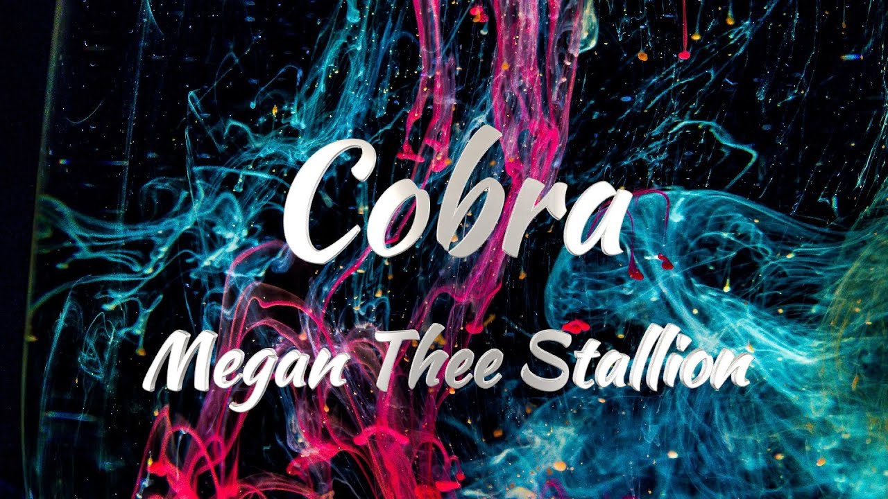 Megan Thee Stallion - Cobra (KARAOKE VERSION) - YouTube