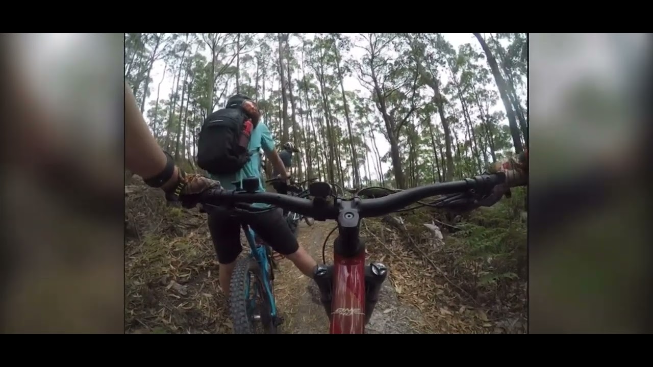 Today we were at penguin bike track shredding iron tor and the dirt ...