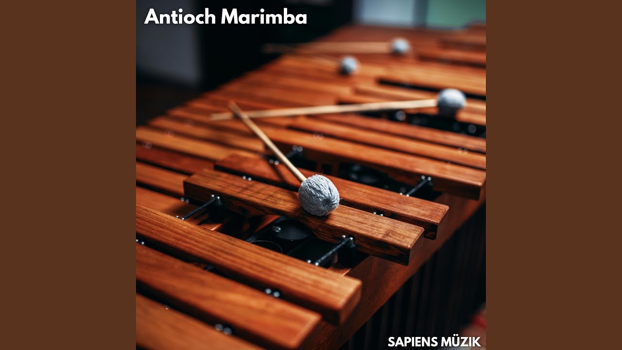 Sonatina in B-flat Major Marimba - YouTube