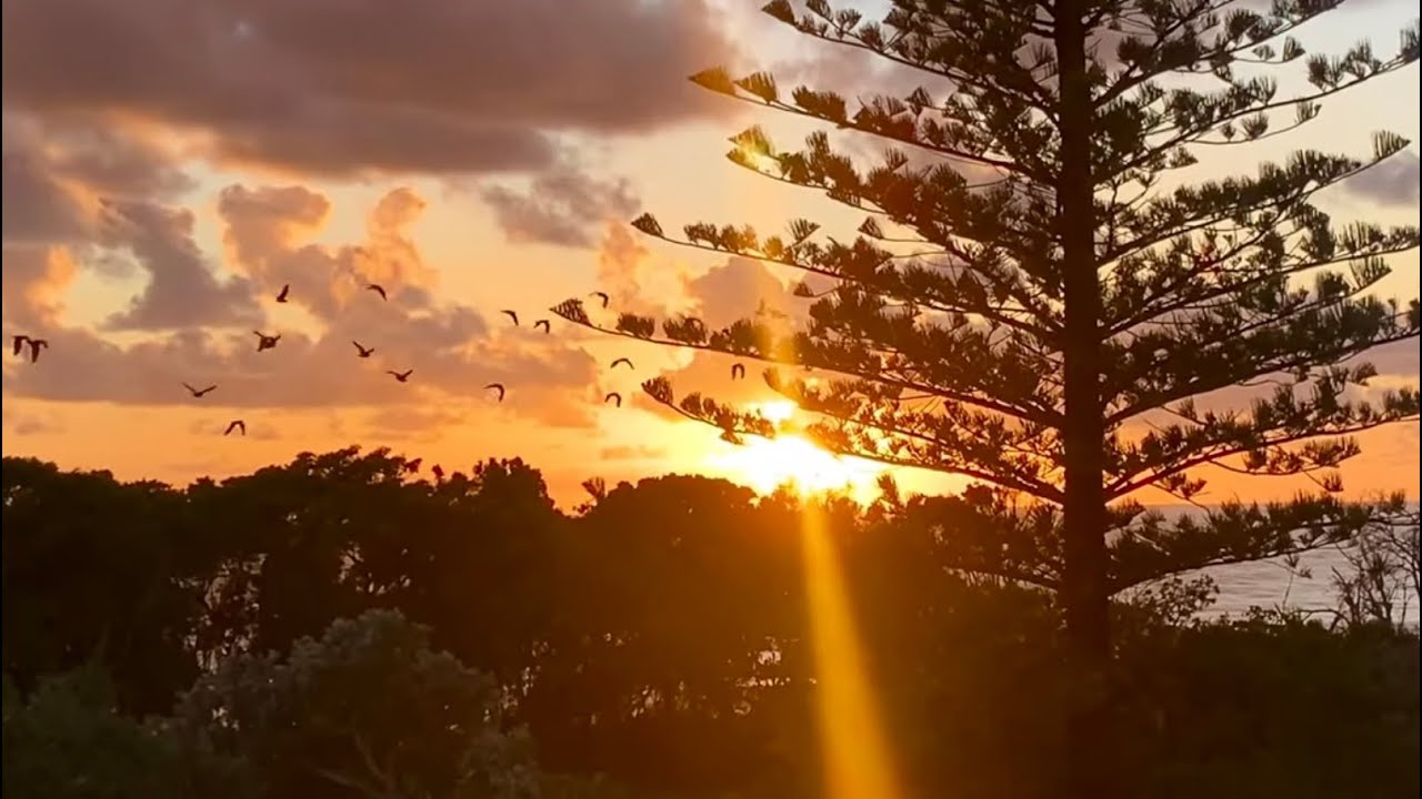 …and the Sun Keeps On Rising, the World Keeps On Turning & the Birds ...