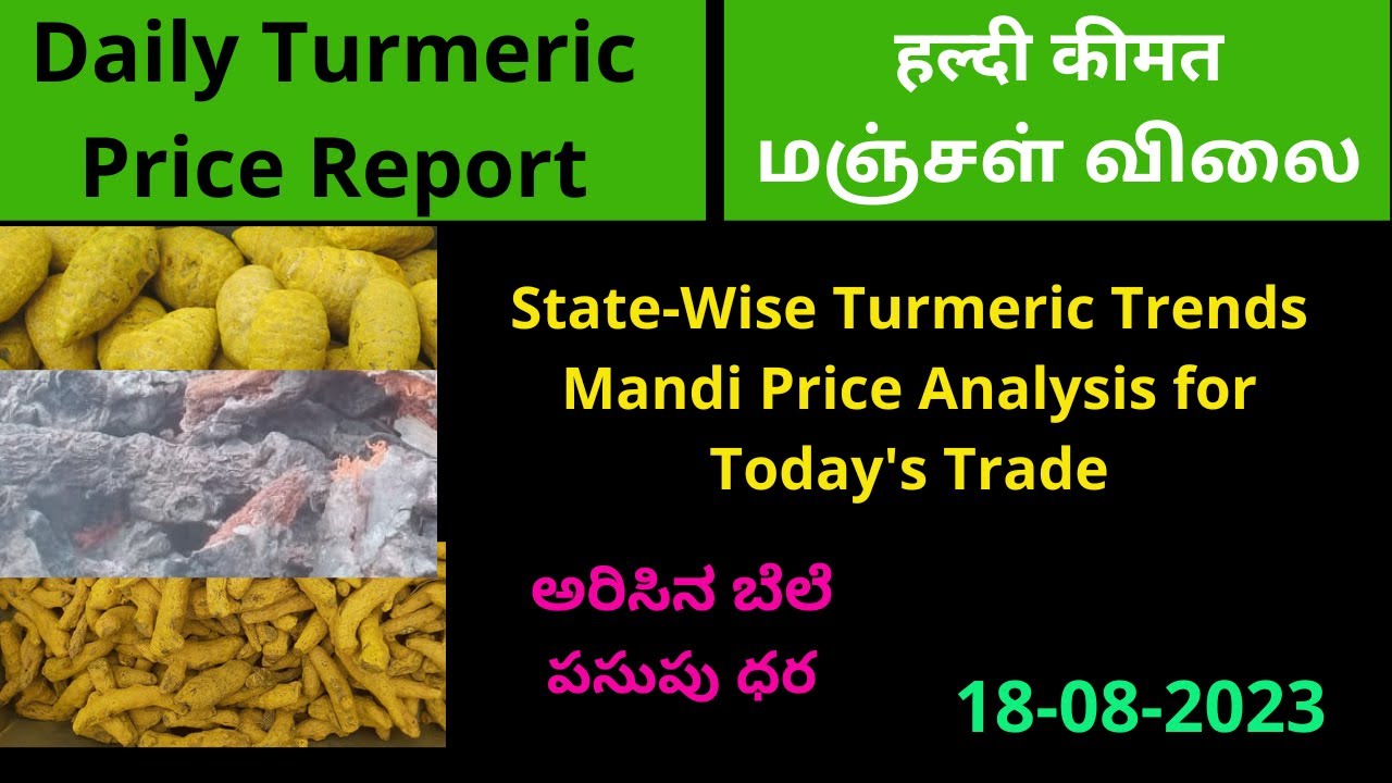 State Wise Turmeric Trends Mandi Price Analysis for Today's Trade ...
