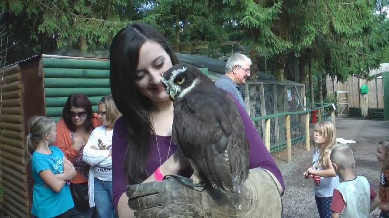 Will's Wild Animal Encounters at Hoo Farm! - YouTube