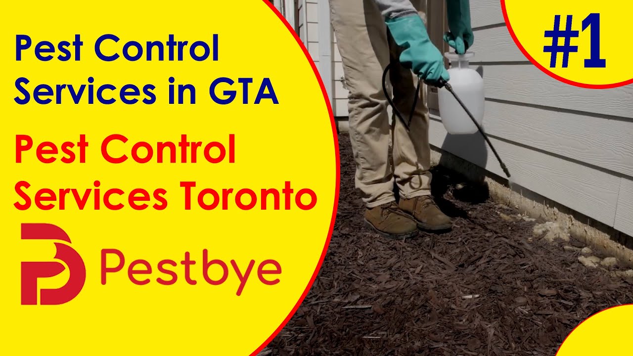 Pest Control Services in GTA, Pest Control Company in Toronto, Canada ...