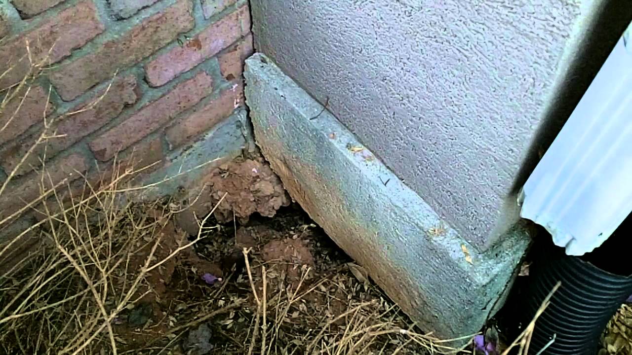 Water damage brick steps settled.MOV - YouTube