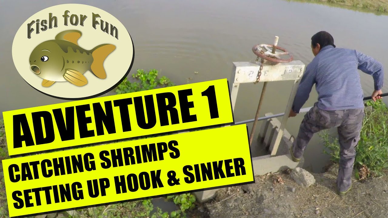 Catching Shrimp, Setting Up Hook & Sinker MAY 2019 [ Fish For Fun ...