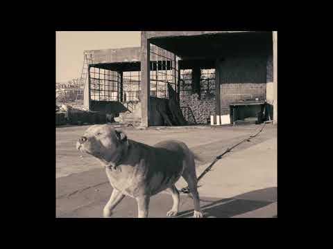 Aslixan feat. Kodes - Risk (Official Video)