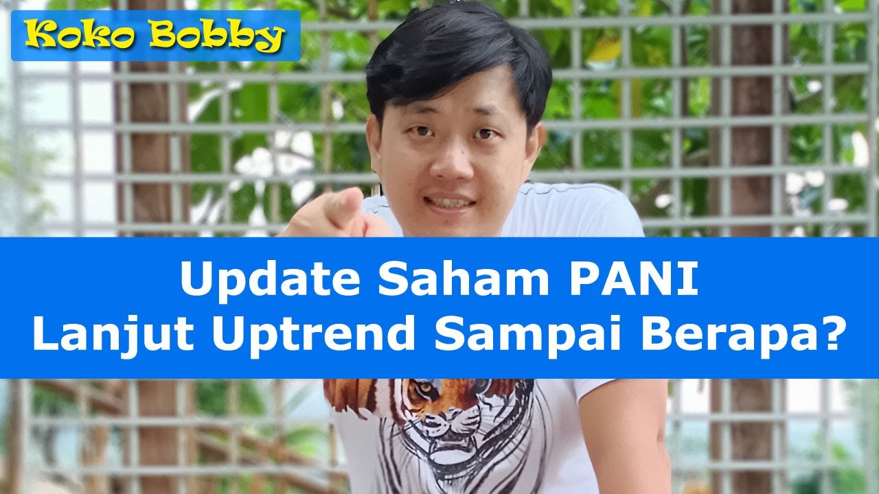 Update Saham PANI. Bakalan Lanjut Naik Sampai Berapa Targetnya? - Koko ...