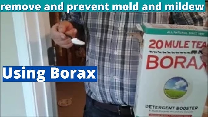 How To Get Rid Of Termites For Good Using Borax Best 46 Off