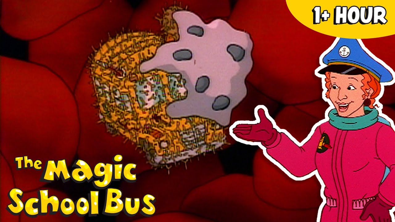 The Immune System | Full Episodes | Science for Kids | The Magic School ...