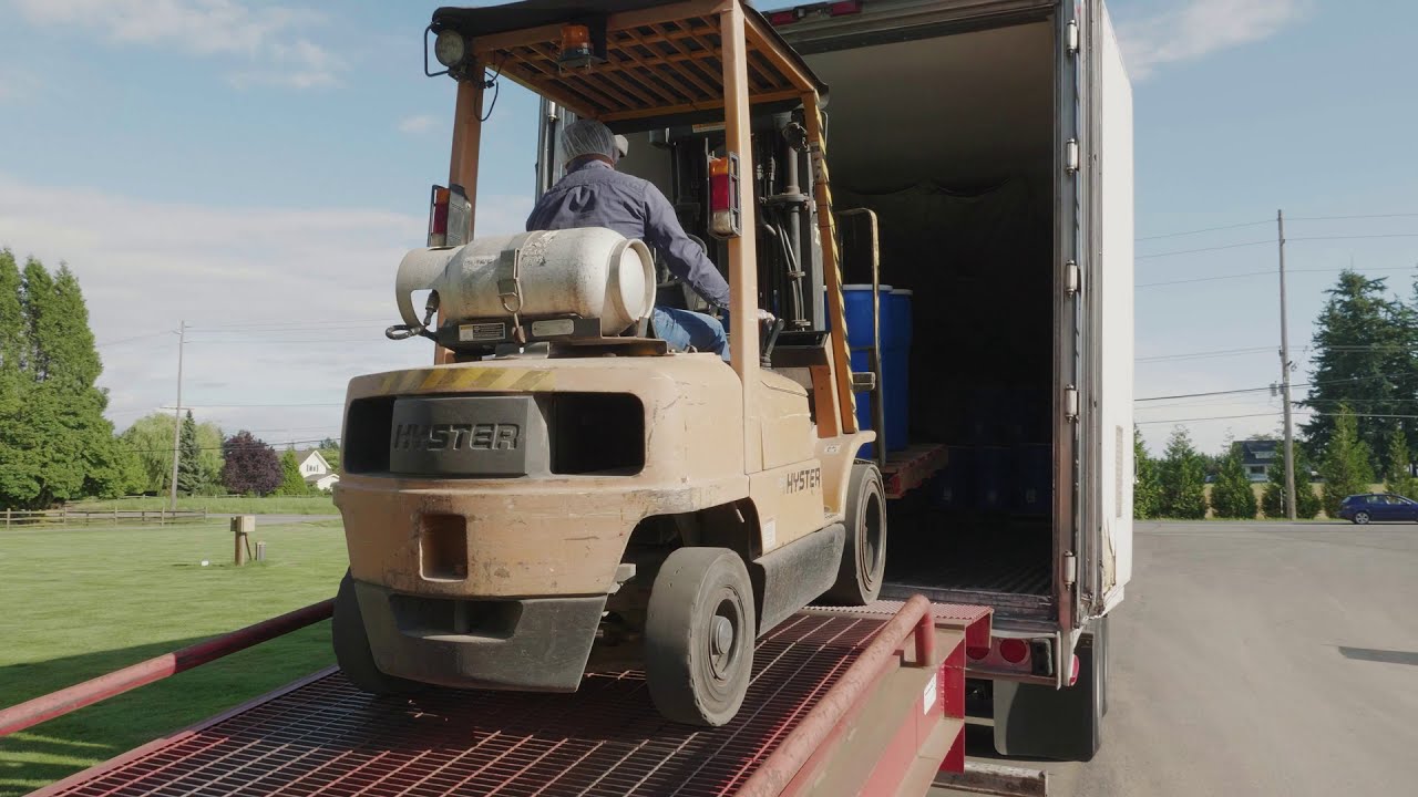PROCESSING RASPBERRIES | at the raspberry farm - YouTube