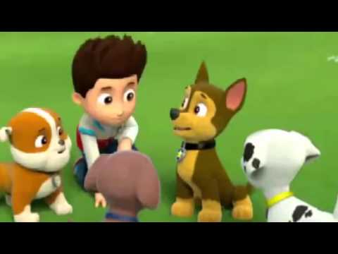 Animated Movies Of All Time || Pups Save a Hoot - Pups Save a Toof ...