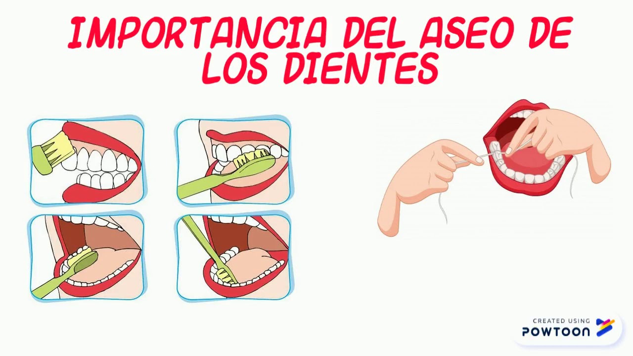 HIGIENE BUCAL PARA NIÑOS - YouTube