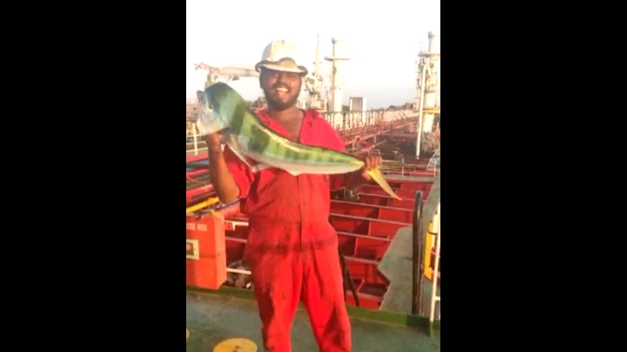 See how a big Fish is Caught in Ship | Fishing done in Big Ship | Gulf ...