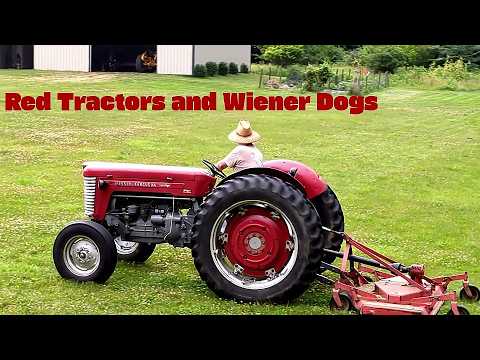 Red Tractors and Wiener Dogs - YouTube