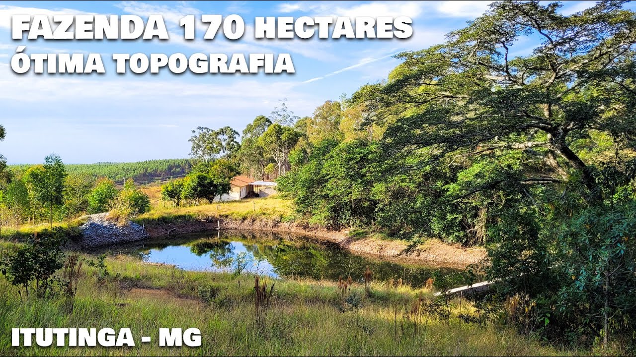 FAZENDA 170 HECTARES EM ITUTINGA - MG - YouTube