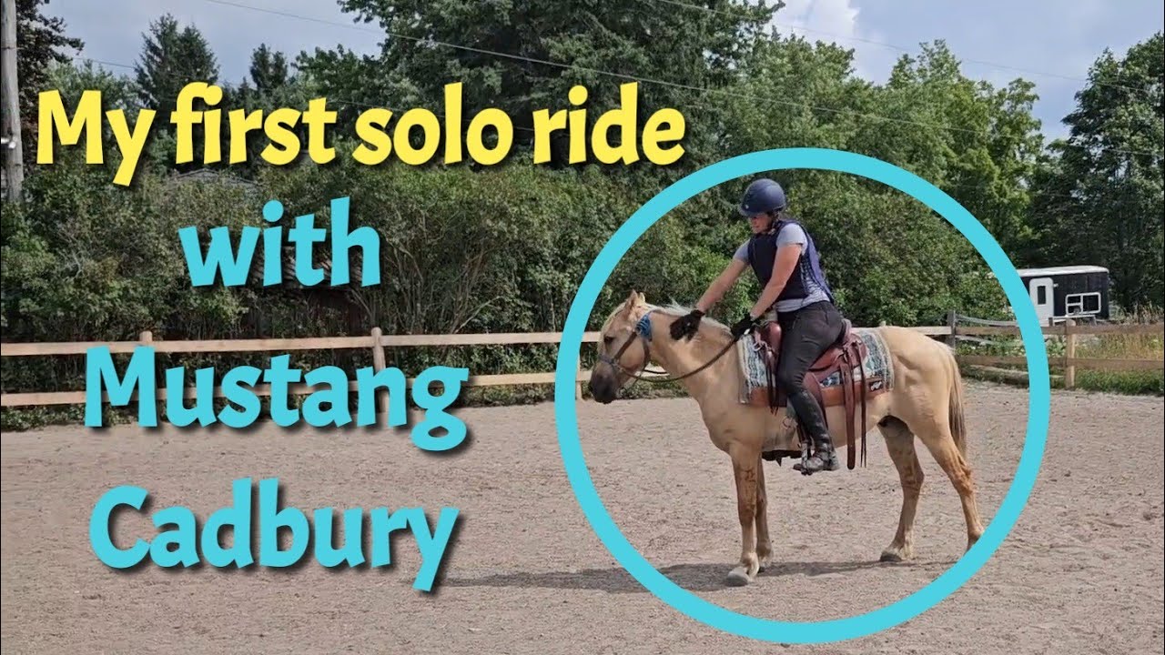 Taming a Mustang: My First Solo Ride on Cadbury’s Journey - YouTube