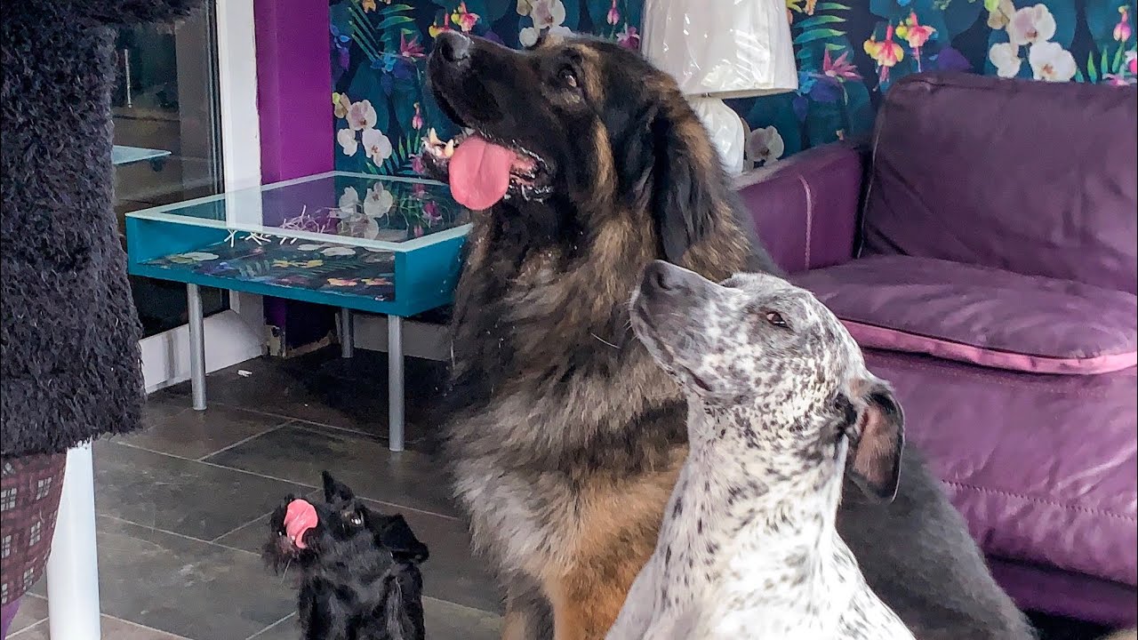 Typhon, Heaton and Jess: Less than a minute Monday. - YouTube