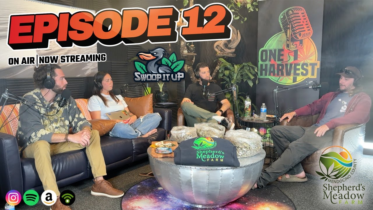 ONE Harvest Podcast (Episode 12) - YouTube