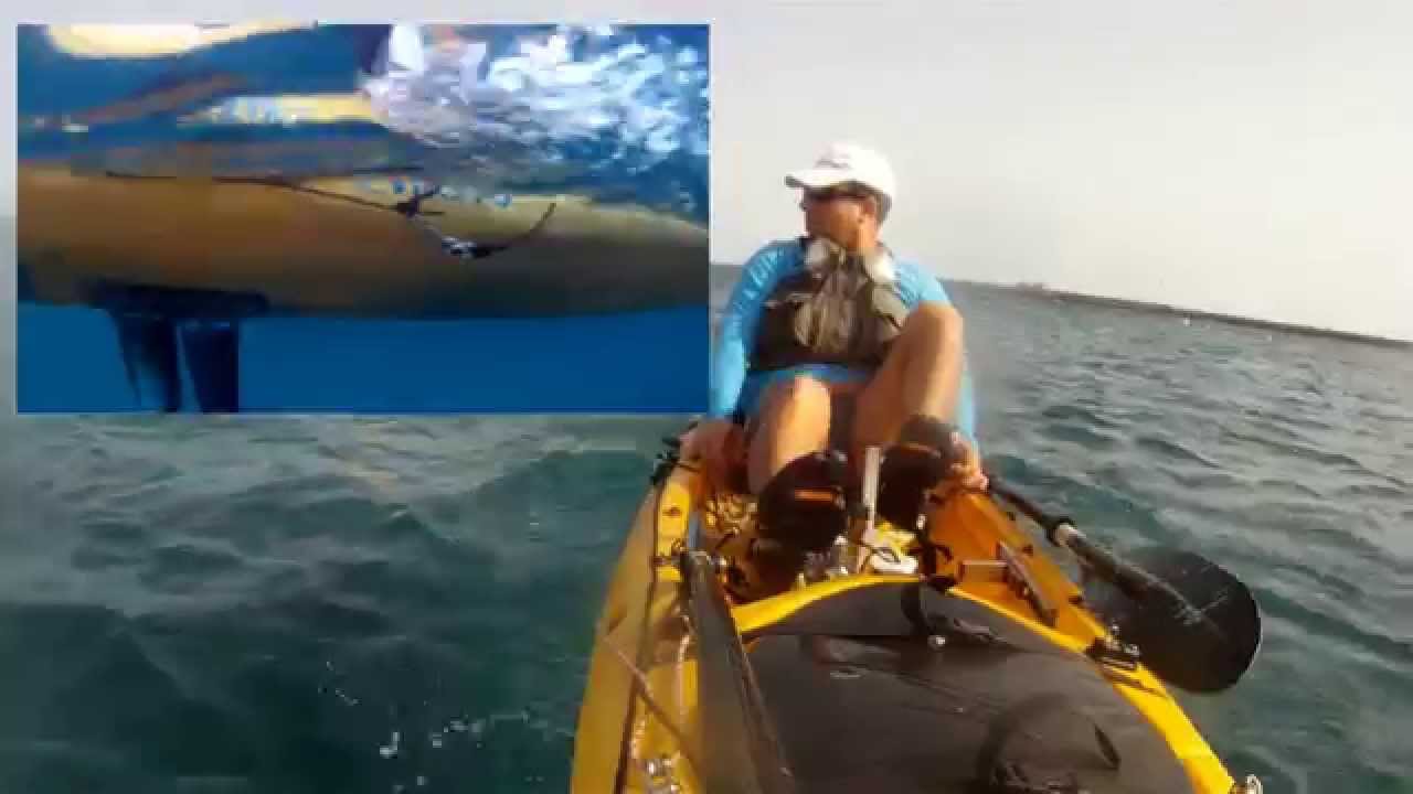 kayak pedals wired - YouTube