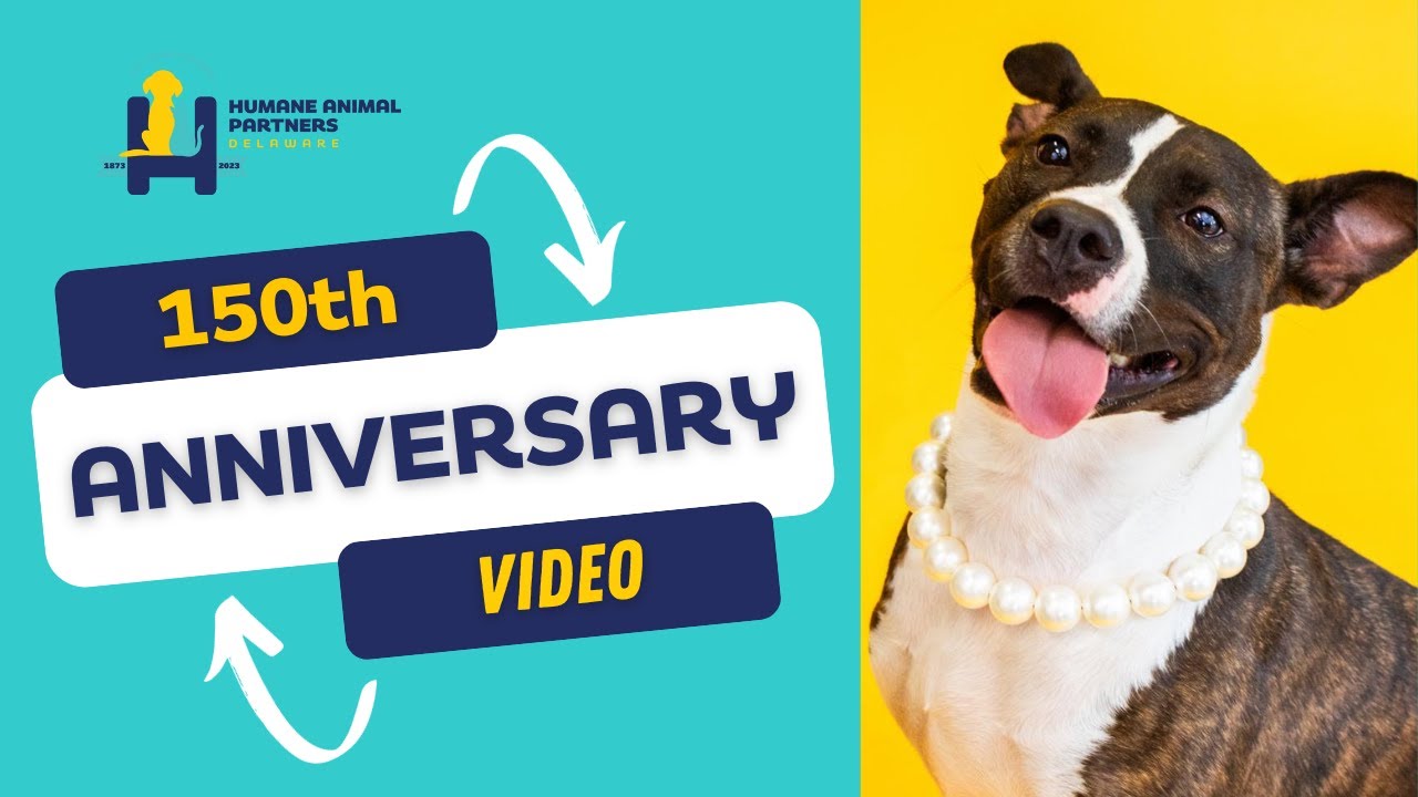 Humane Animal Partners 150th Anniversary - YouTube