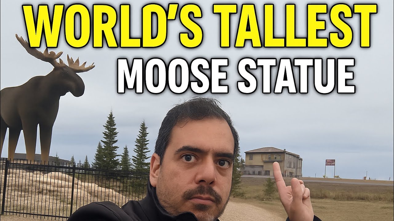 World’s Tallest Moose Statue - YouTube