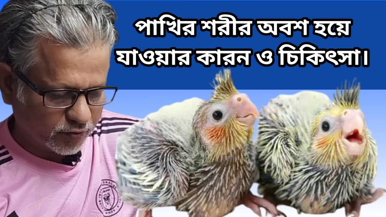 বেবি পাখির শরীর অবশ হয়ে যাওয়ার কারন ও চিকিৎসা। Paralyzed Baby Bird ...