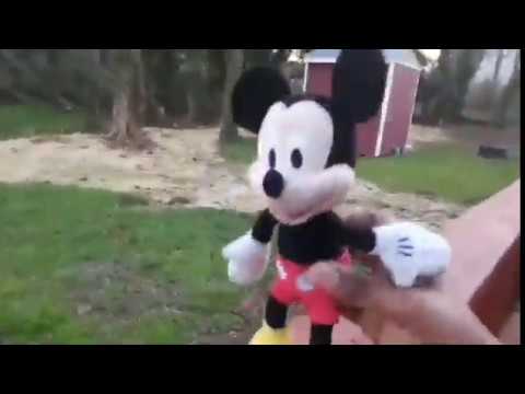 Mickey vs goofy - YouTube