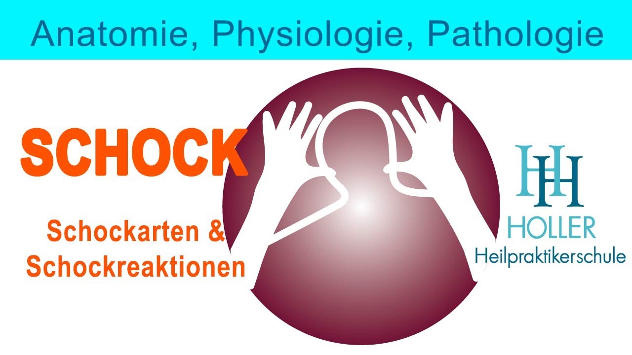 Wissenwertes über Schockarten und Schockreaktionen mit A. T. Holler ...