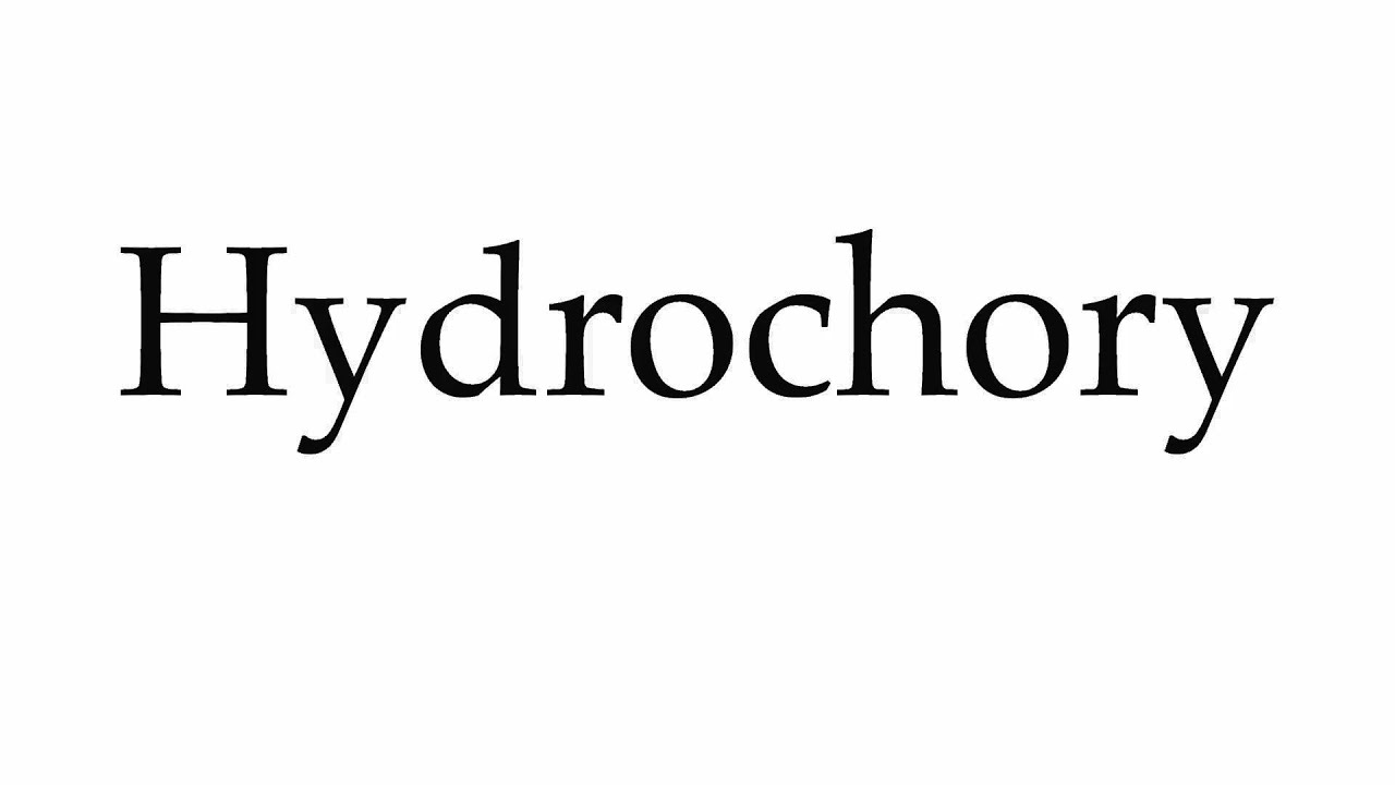 How to Pronounce Hydrochory - YouTube