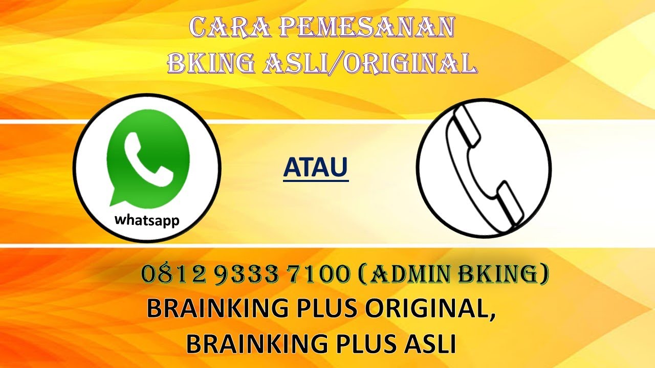 0812 9333 7100 (Stokies Bking) Brainking Plus Asli Di Jambi - YouTube