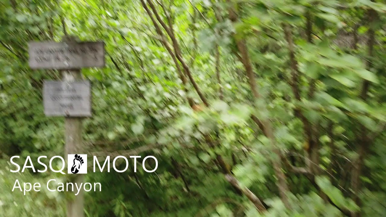 Ape Canyon trail hike (Mt. St. Helens) - YouTube