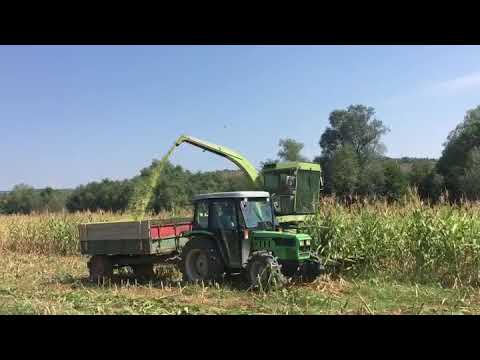 Claas jaguar Sf 80 & Deutz Fahr 60 - YouTube