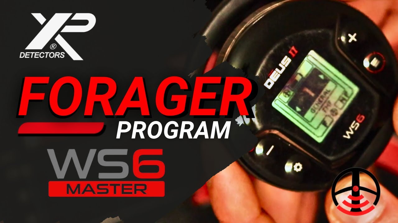 XP Deus 2 WS6 Master Forager 2.0 Program - YouTube